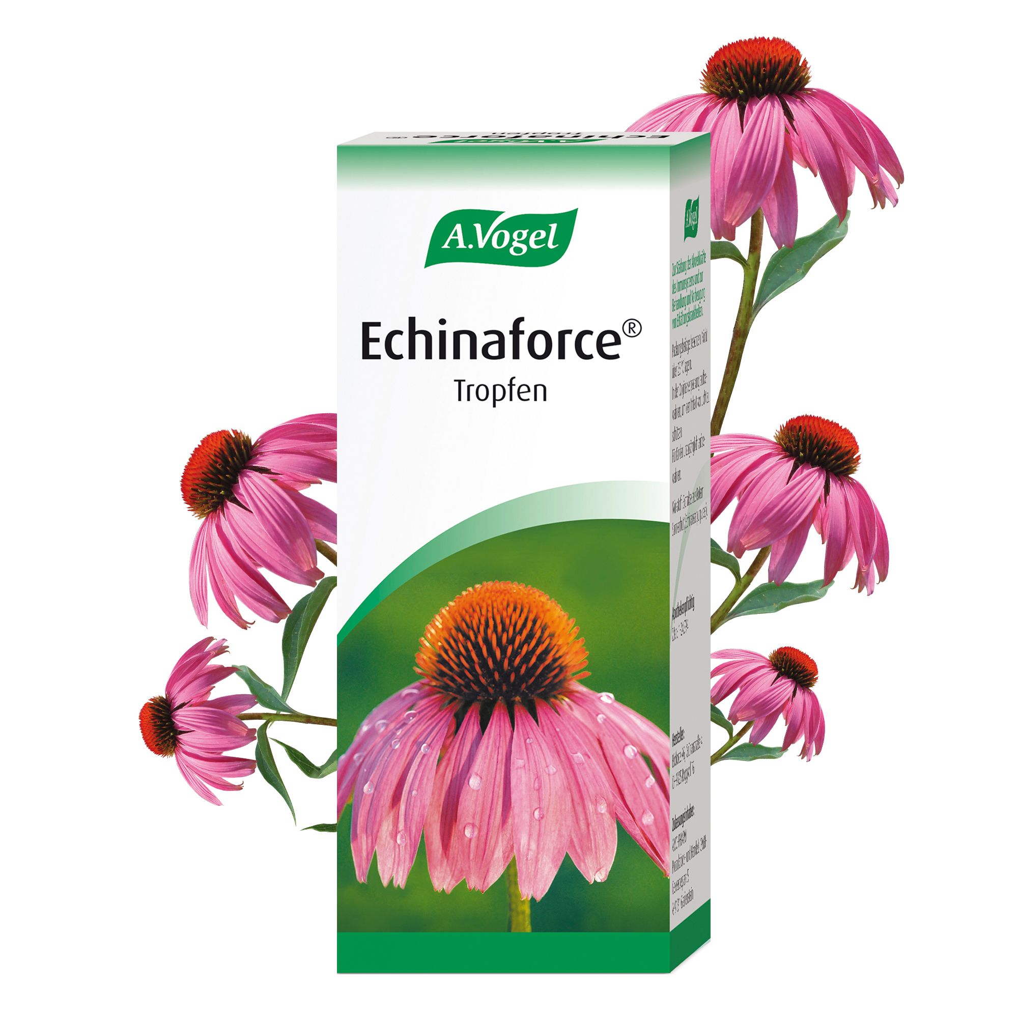 A.Vogel Echinaforce® Tropfen | Deine Apotheke